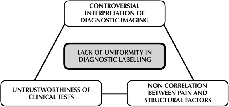 Towards an integrated clinical framework for patient with shoulder pain ...