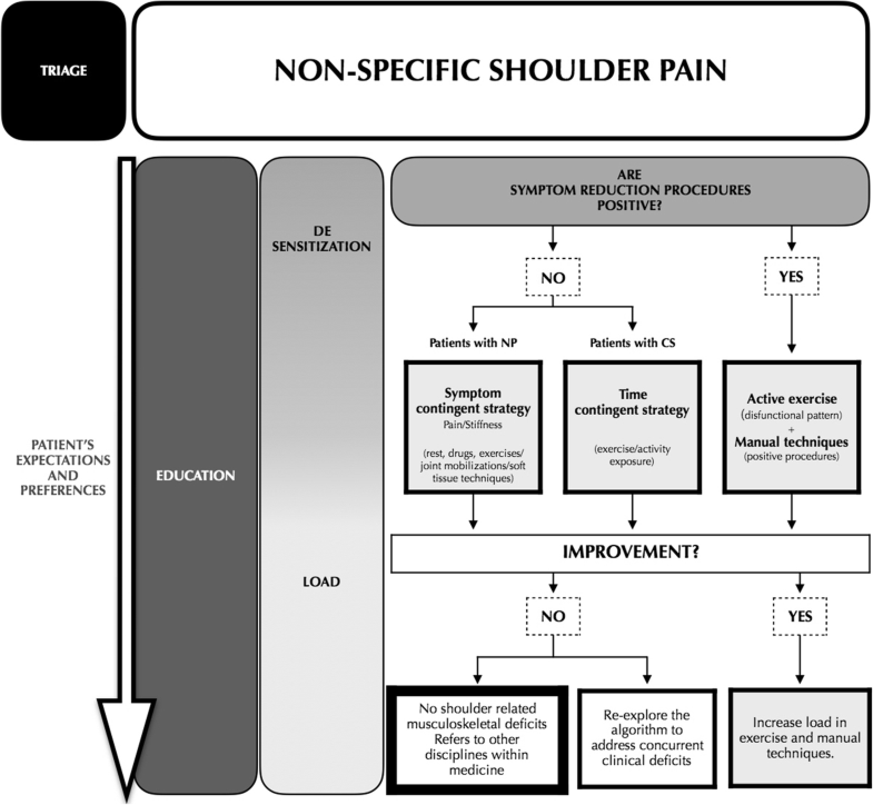 Towards an integrated clinical framework for patient with shoulder pain ...