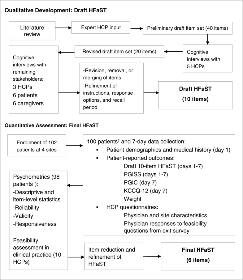 Development, psychometric evaluation, and initial feasibility ...