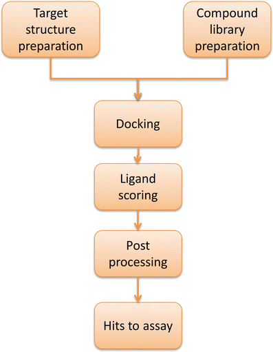 Structure-Based Virtual Screening for Drug Discovery: a Problem-Centric ...