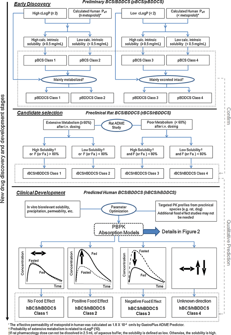 Case Studies for Practical Food Effect Assessments across BCS/BDDCS ...