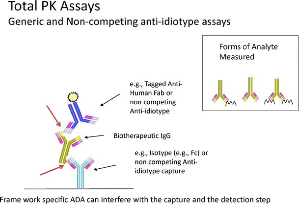 Theoretical Considerations and Practical Approaches to Address the ...