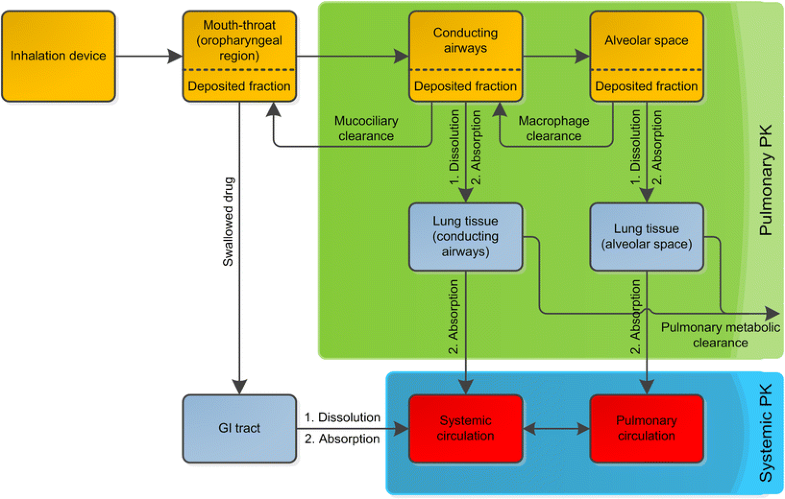 Pharmacometric Models for Characterizing the Pharmacokinetics of Orally ...