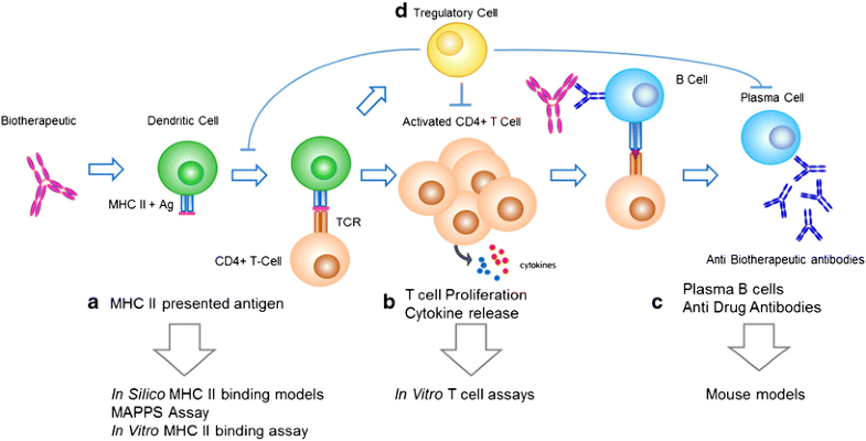 How Close Are We to Profiling Immunogenicity Risk Using In Silico ...