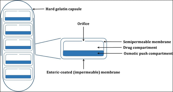 Colon-Targeted Oral Drug Delivery Systems: Design Trends and Approaches ...
