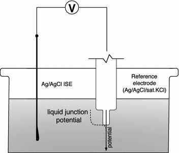 Ag/AgCl ion-selective electrodes in neutral and alkaline environments ...