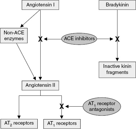 Can Angiotensin Receptor Antagonists Be Used Safely in Patients with ...