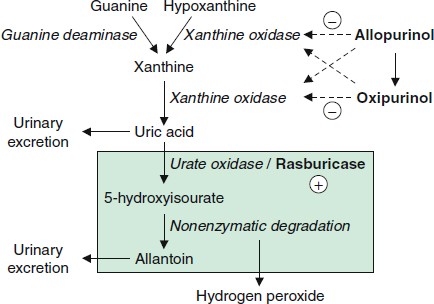 Rasburicase | SpringerLink
