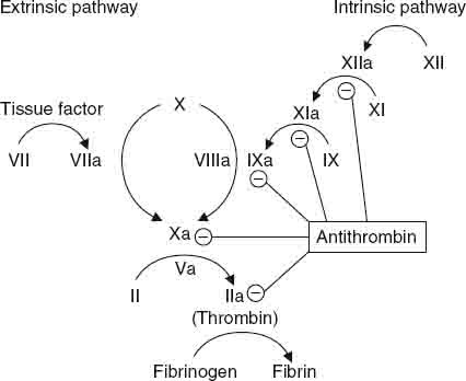 Hereditary and Acquired Antithrombin Deficiency | SpringerLink