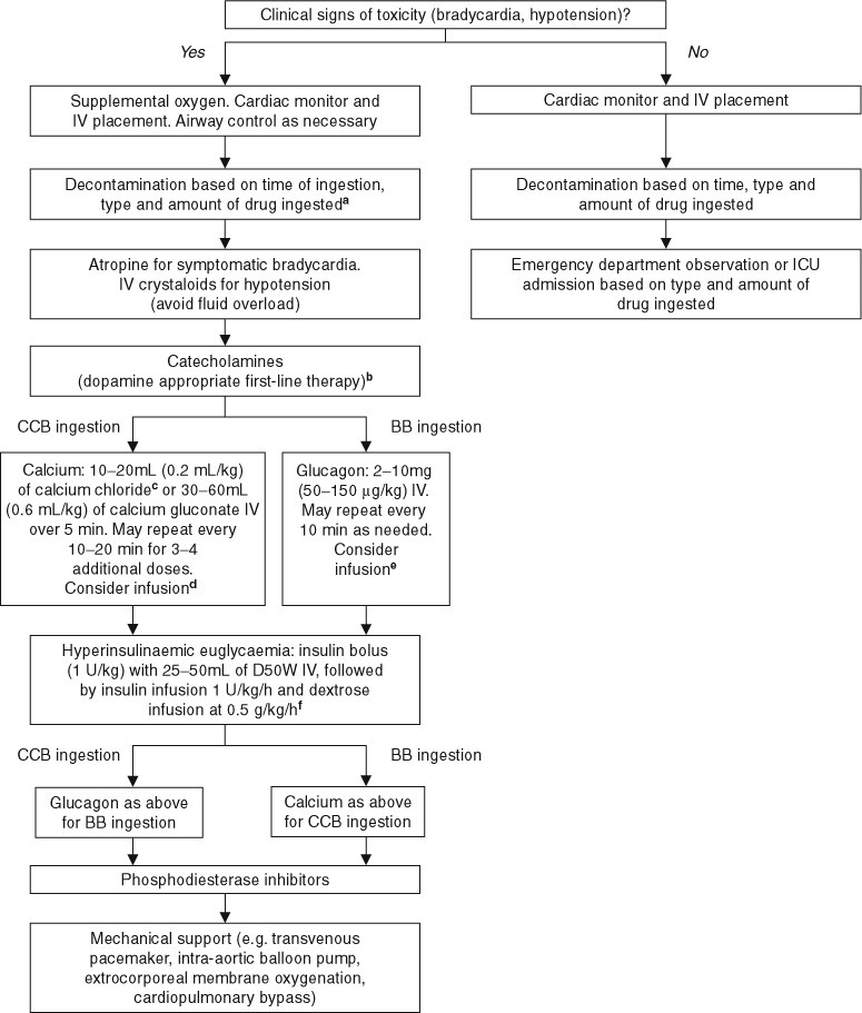 Pharmacology, Pathophysiology and Management of Calcium Channel Blocker ...