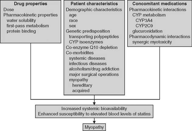 Risk Factors and Drug Interactions Predisposing to Statin-Induced ...
