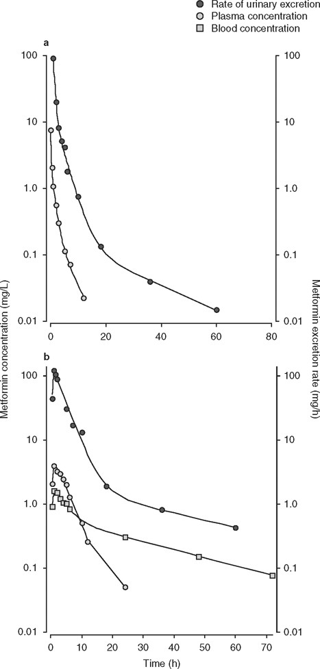 Clinical Pharmacokinetics of Metformin | SpringerLink