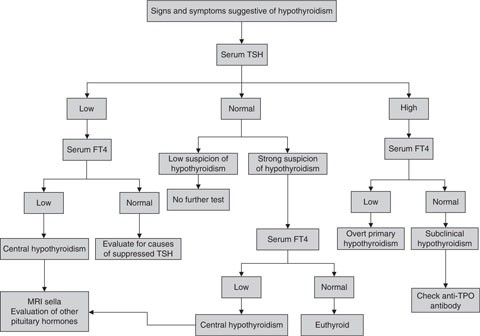 Overt and Subclinical Hypothyroidism | SpringerLink