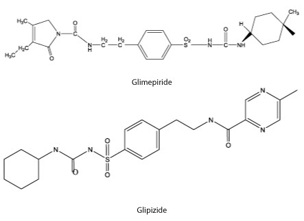 Mechanism of interaction of hypoglycemic agents glimepiride and ...