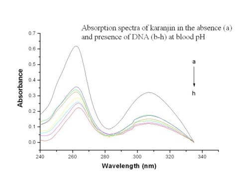 UV-absorption studies of interaction of karanjin and karanjachromene ...