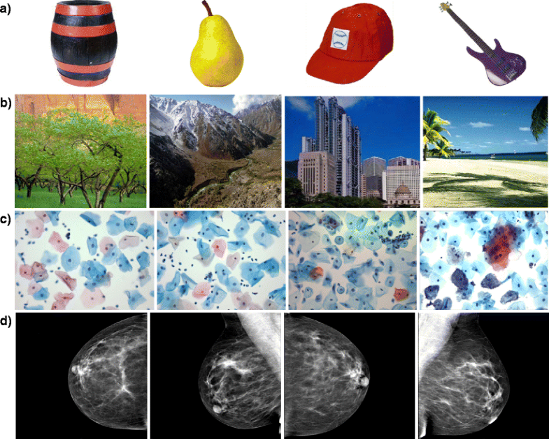 Does visual expertise improve visual recognition memory? | SpringerLink