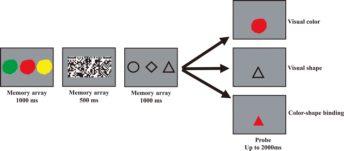 Bindings in working memory: The role of object-based attention ...