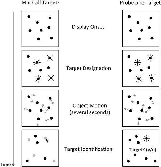 Studying visual attention using the multiple object tracking paradigm ...