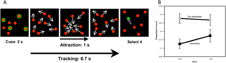 Studying visual attention using the multiple object tracking paradigm ...