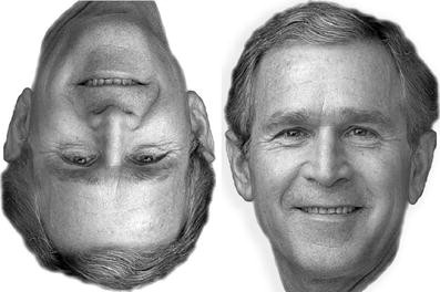 Explaining the face-inversion effect: the face–scheme incompatibility (FSI) model | SpringerLink