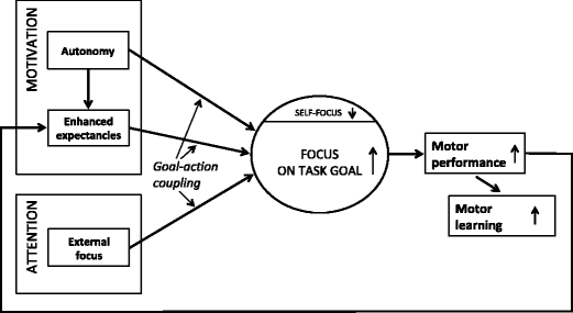 Optimizing performance through intrinsic motivation and attention for ...