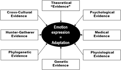 The dot-probe task to measure emotional attention: A suitable measure ...