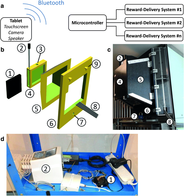 Mymou: A low-cost, wireless touchscreen system for automated training ...