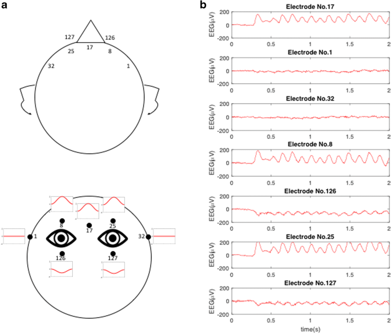 Measurement of saccadic eye movements by electrooculography for ...