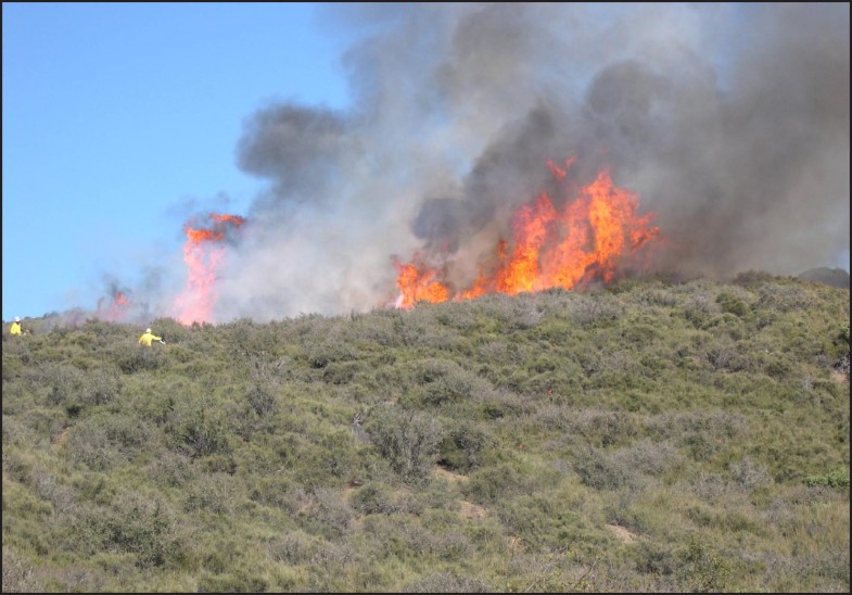 Measuring the Rate of Spread of Chaparral Prescribed fires in Northern ...