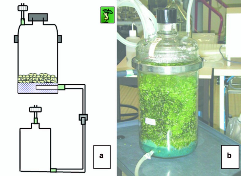 Disposable Bioreactors for Plant Micropropagation and Mass Plant Cell ...