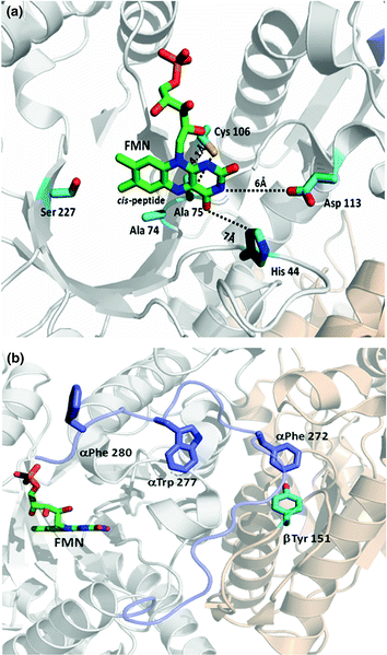 Structure, Mechanism, and Mutation of Bacterial Luciferase | SpringerLink