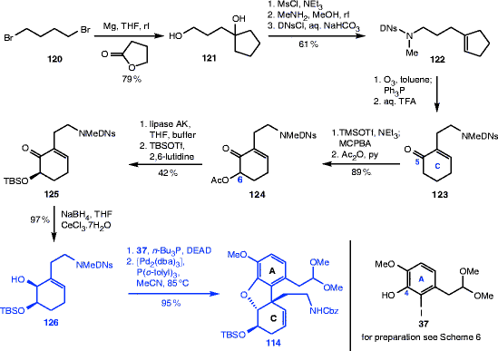Synthesis of Morphine Alkaloids and Derivatives | SpringerLink
