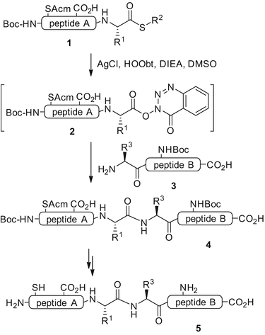 Peptide Thioester Formation via an Intramolecular N to S Acyl Shift for ...