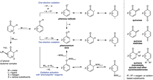 Phenol Dearomatization with Hypervalent Iodine Reagents | SpringerLink