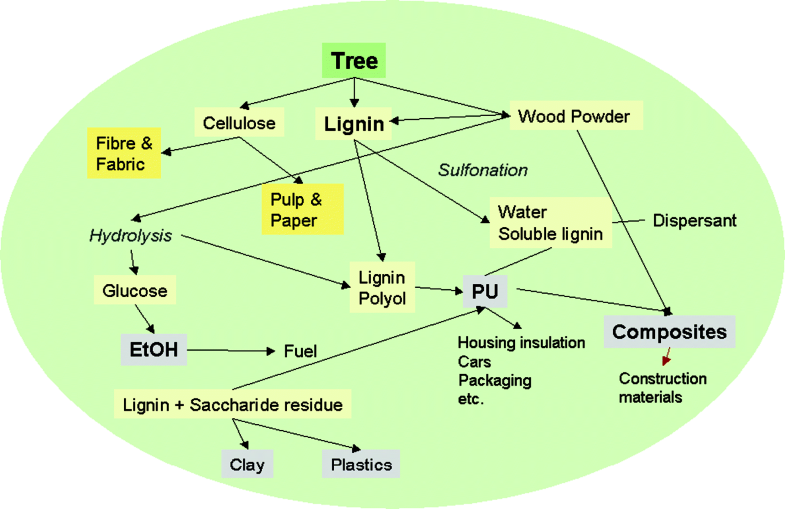 Lignin Structure, Properties, and Applications | SpringerLink