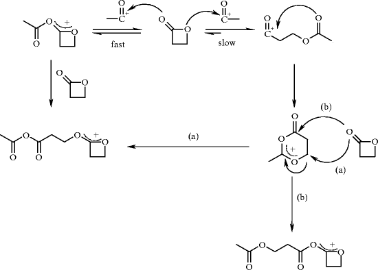 Recent Developments in Ring-Opening Polymerization of Lactones ...