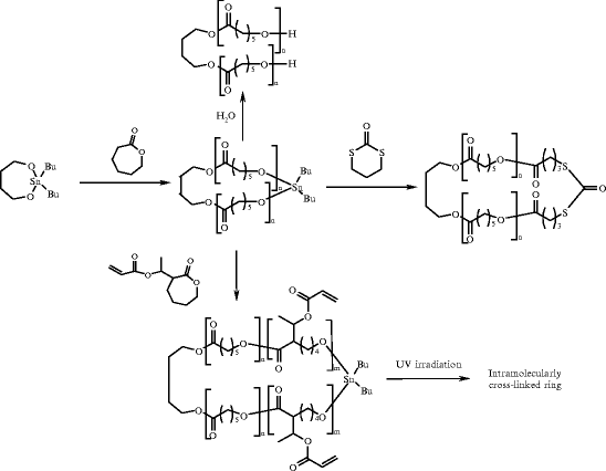Recent Developments in Ring-Opening Polymerization of Lactones ...