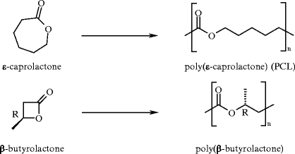 Recent Developments in Ring-Opening Polymerization of Lactones ...