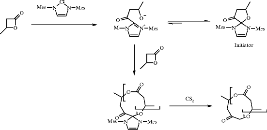 Recent Developments in Ring-Opening Polymerization of Lactones ...