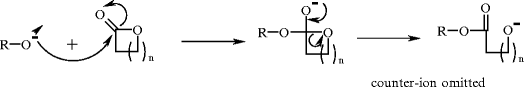 Recent Developments in Ring-Opening Polymerization of Lactones ...