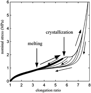 Strain-Induced Crystallization in Natural Rubber | SpringerLink