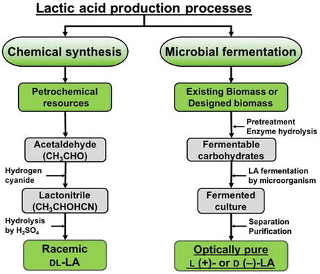Biorefinery-Based Lactic Acid Fermentation: Microbial Production of Pure Monomer Product ...