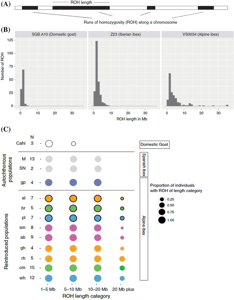 Population Genomics: Advancing Understanding of Nature | SpringerLink