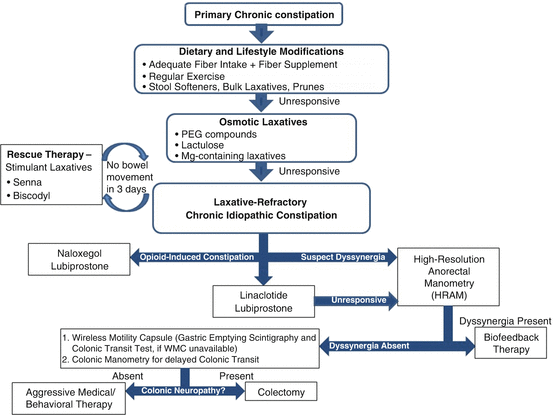 Constipation: Pathophysiology and Current Therapeutic Approaches ...