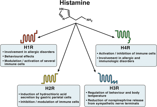 Histamine Release from Mast Cells and Basophils | SpringerLink