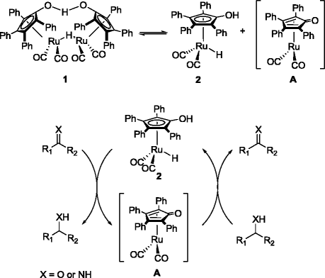 Shvo’s Catalyst in Hydrogen Transfer Reactions | SpringerLink