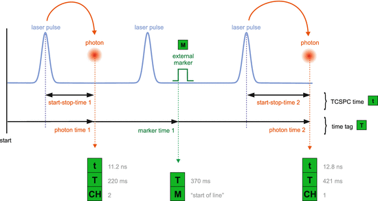 Modern TCSPC Electronics: Principles and Acquisition Modes | SpringerLink