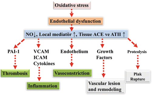 Endothelial Dysfunction and Hypertension | SpringerLink