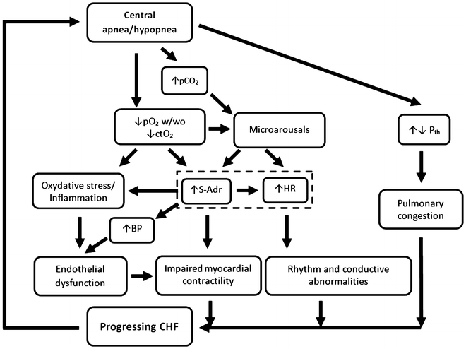 Central Sleep Apnea with Cheyne-Stokes Breathing in Heart Failure ...