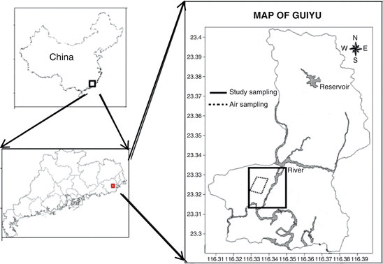Human and Environmental Impact Produced by E-Waste Releases at Guiyu ...